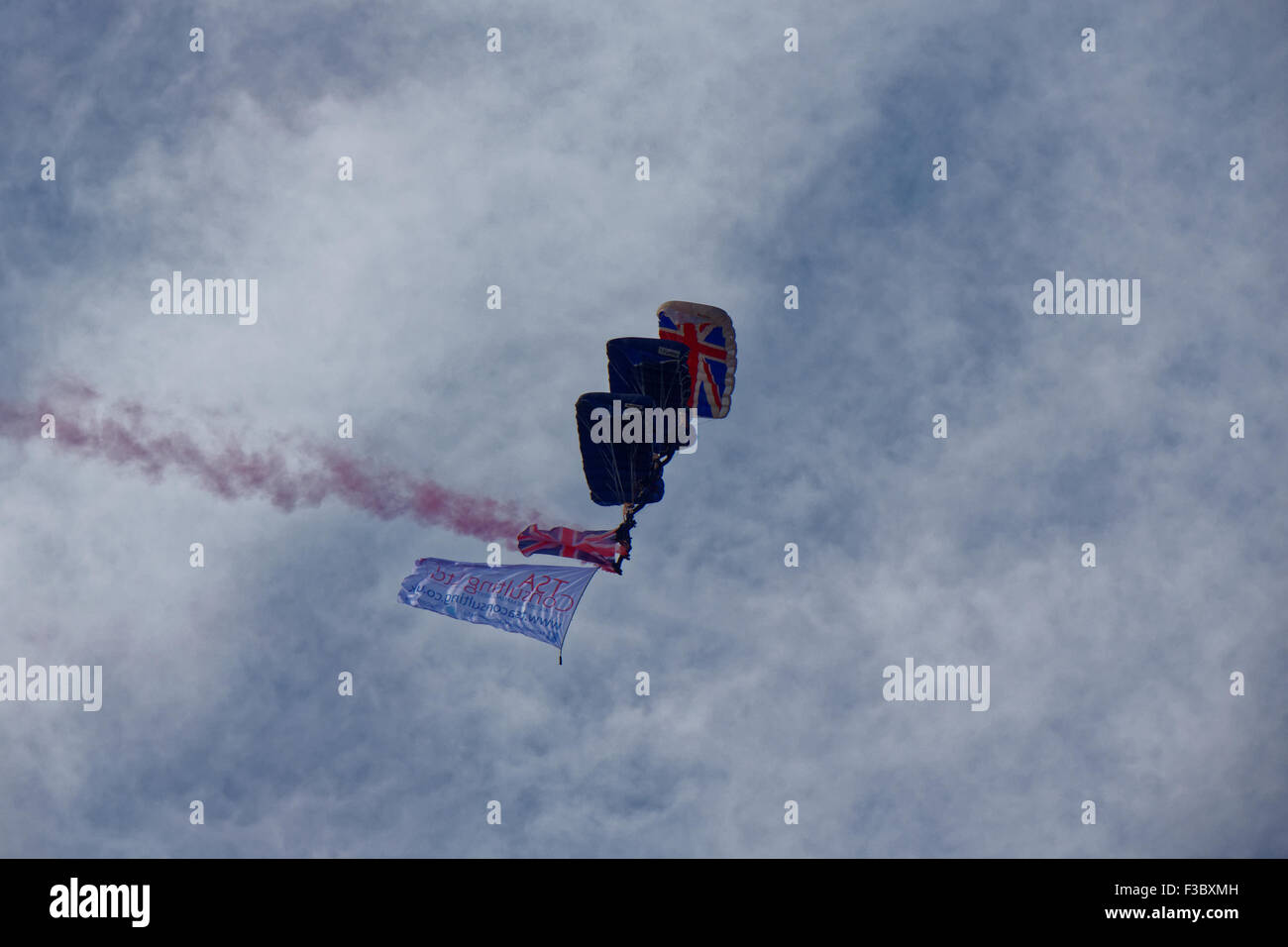 Tigers freefall team Stock Photo - Alamy
