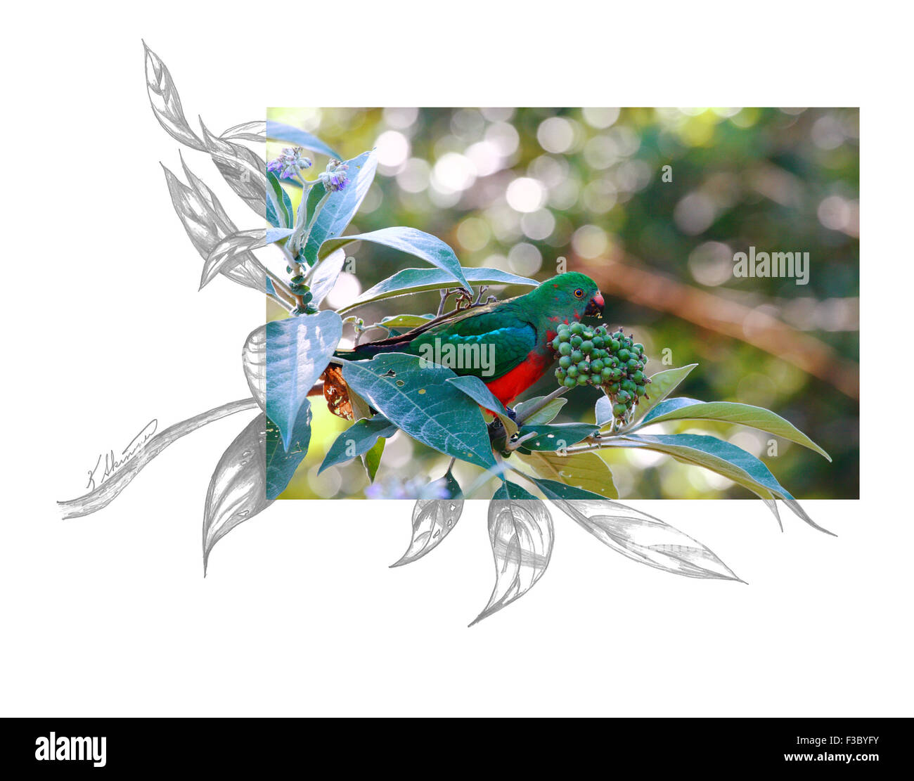 This is one of only 27 Creative Context images we have created; photo ...