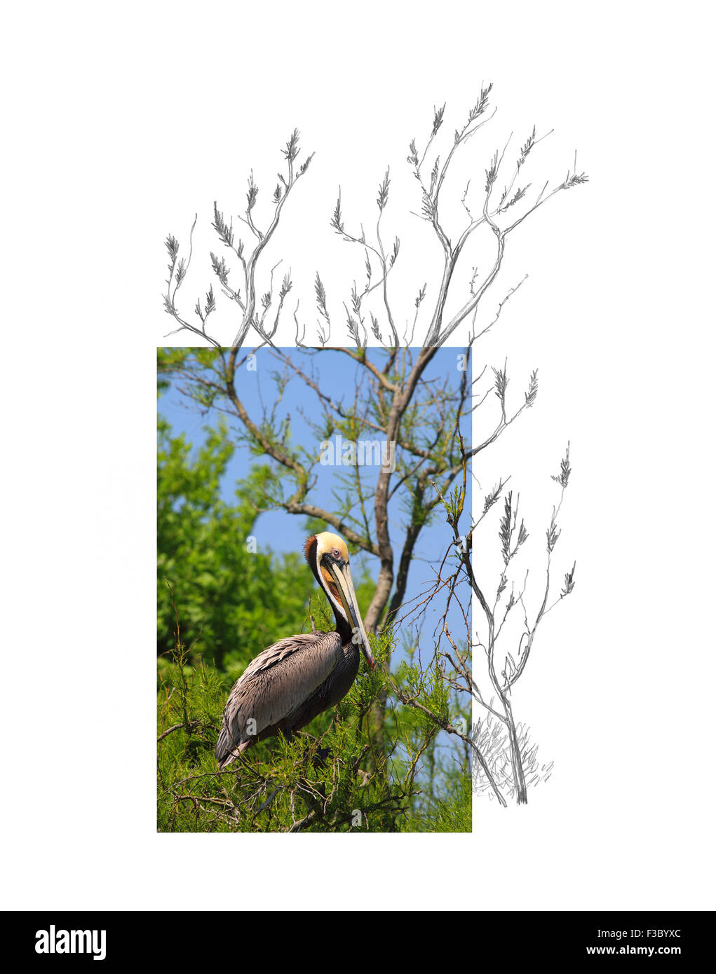 This is one of only 27 Creative Context images we have created; photo ...