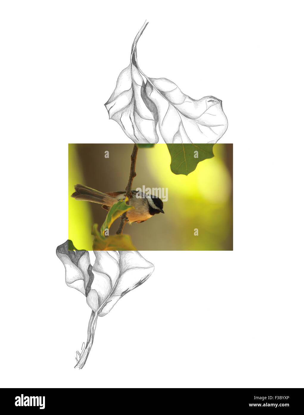 This is one of only 27 Creative Context images we have created; photo ...