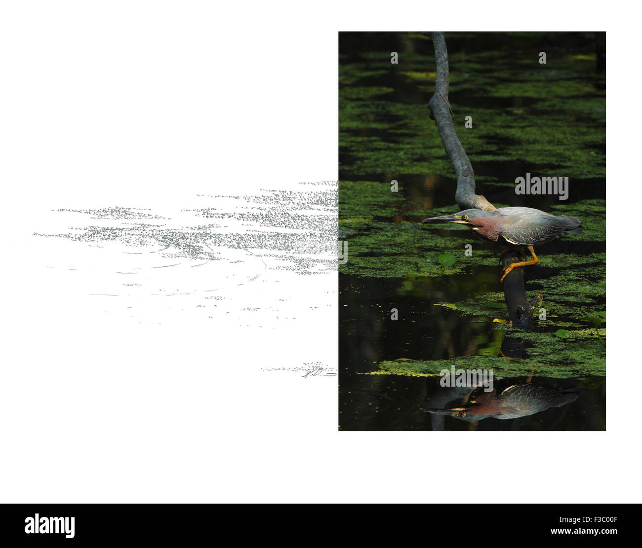 This is one of only 27 Creative Context images we have created; photo ...