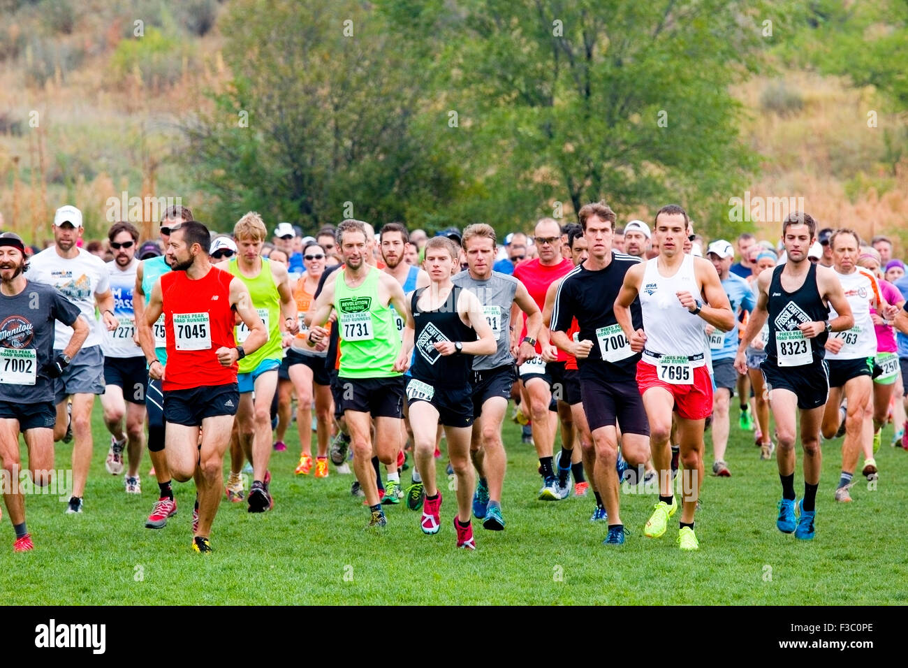 Fall series hi-res stock photography and images - Alamy