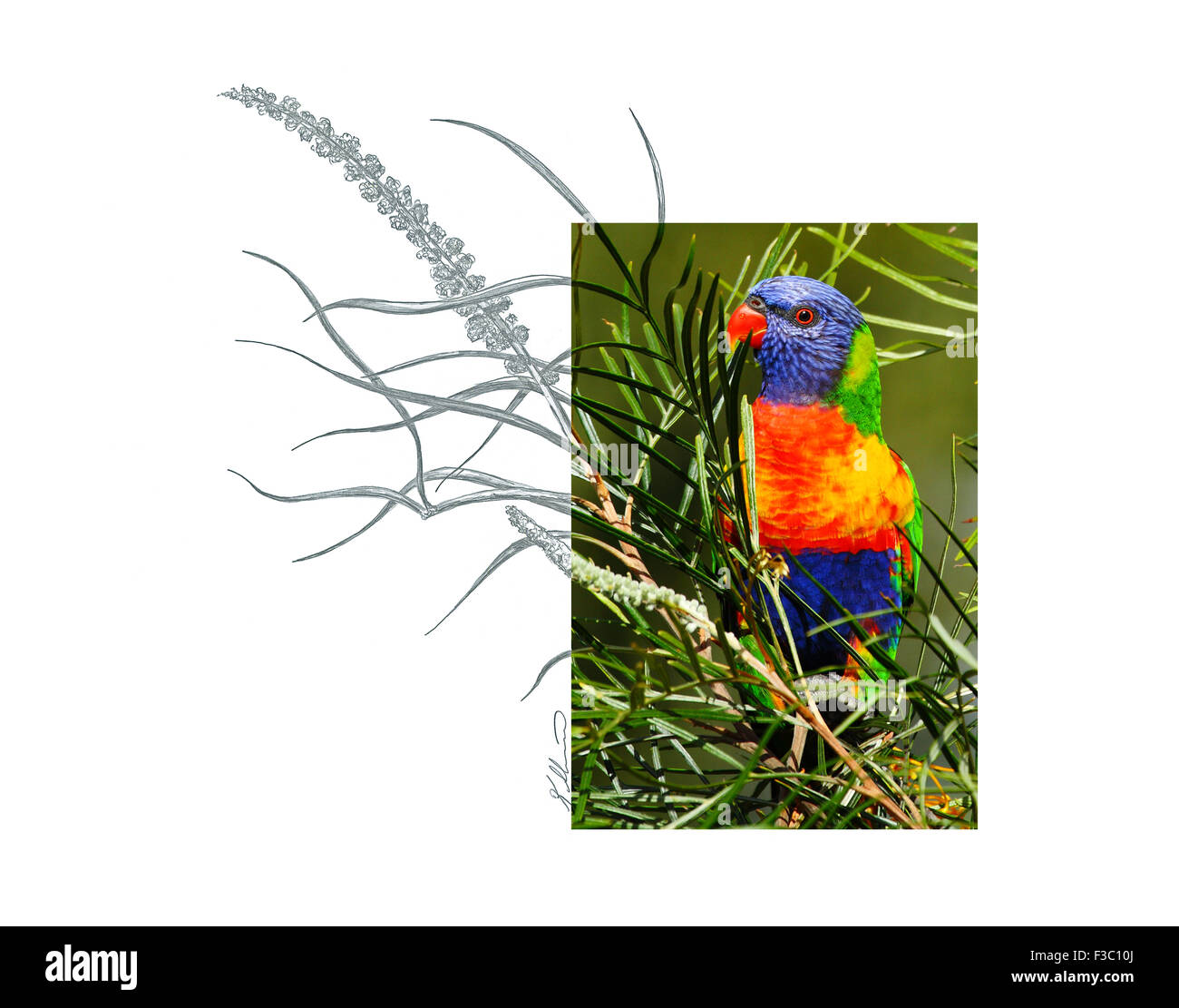 This is one of only 27 Creative Context images we have created; photo ...