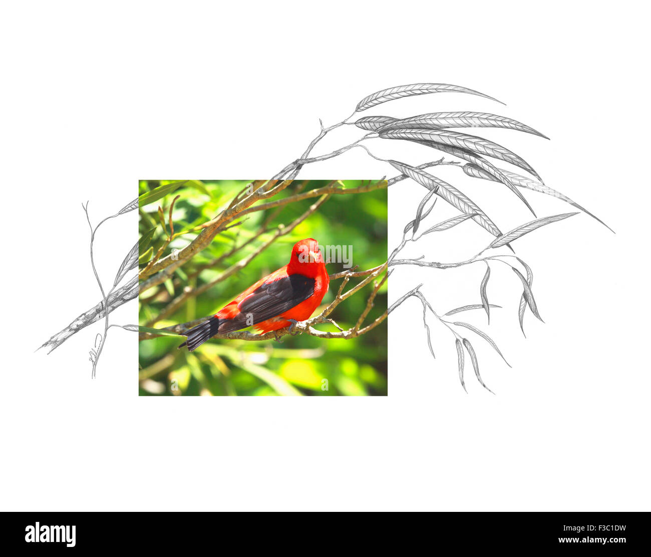 This is one of only 27 Creative Context images we have created; photo ...