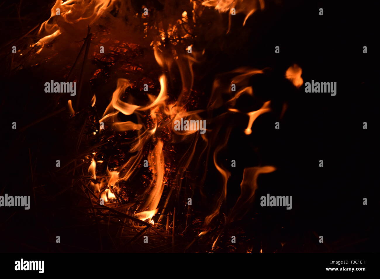 Fire fire. Burning of rice straw at night Stock Photo - Alamy