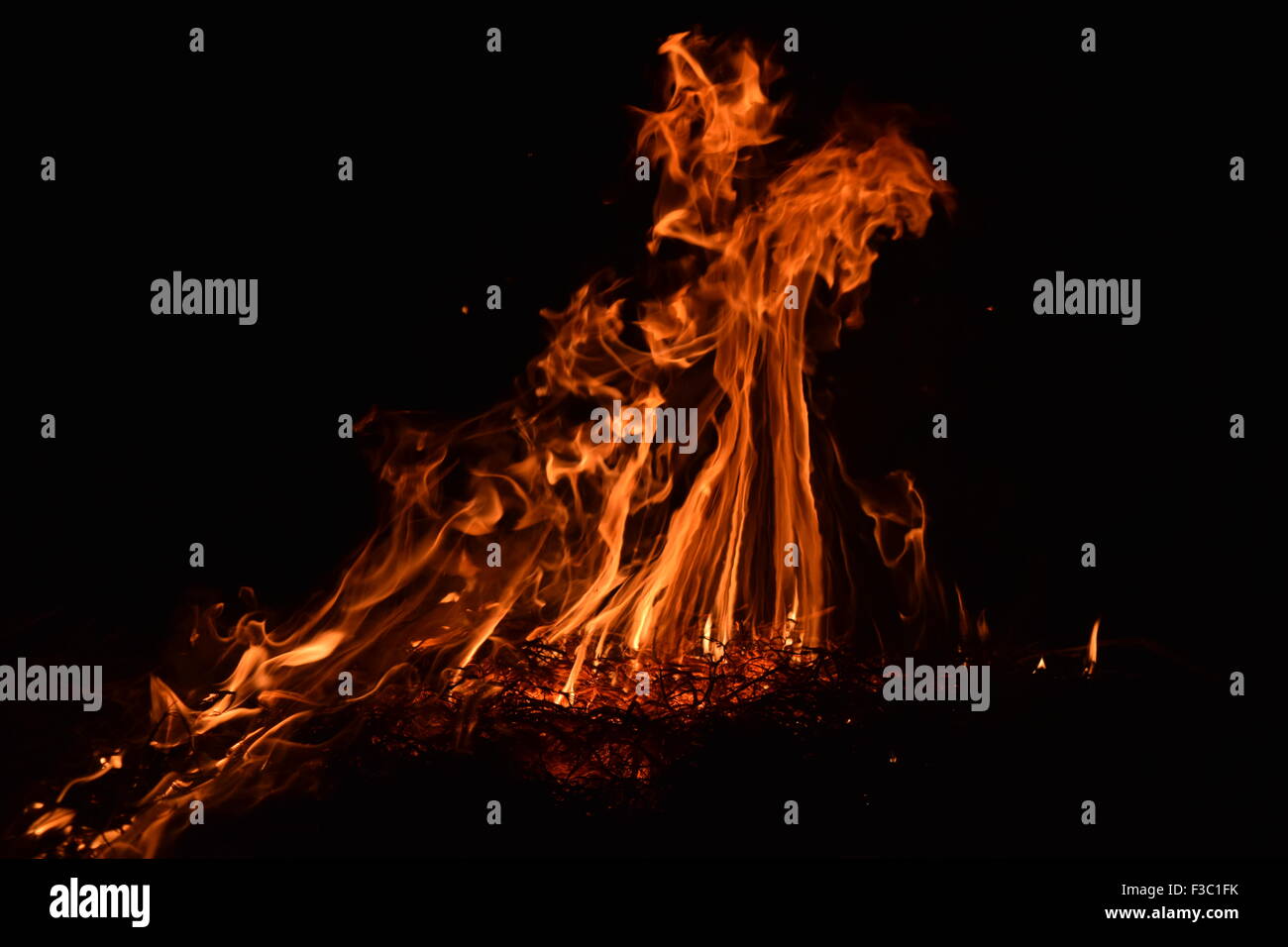 Fire fire. Burning of rice straw at night Stock Photo - Alamy