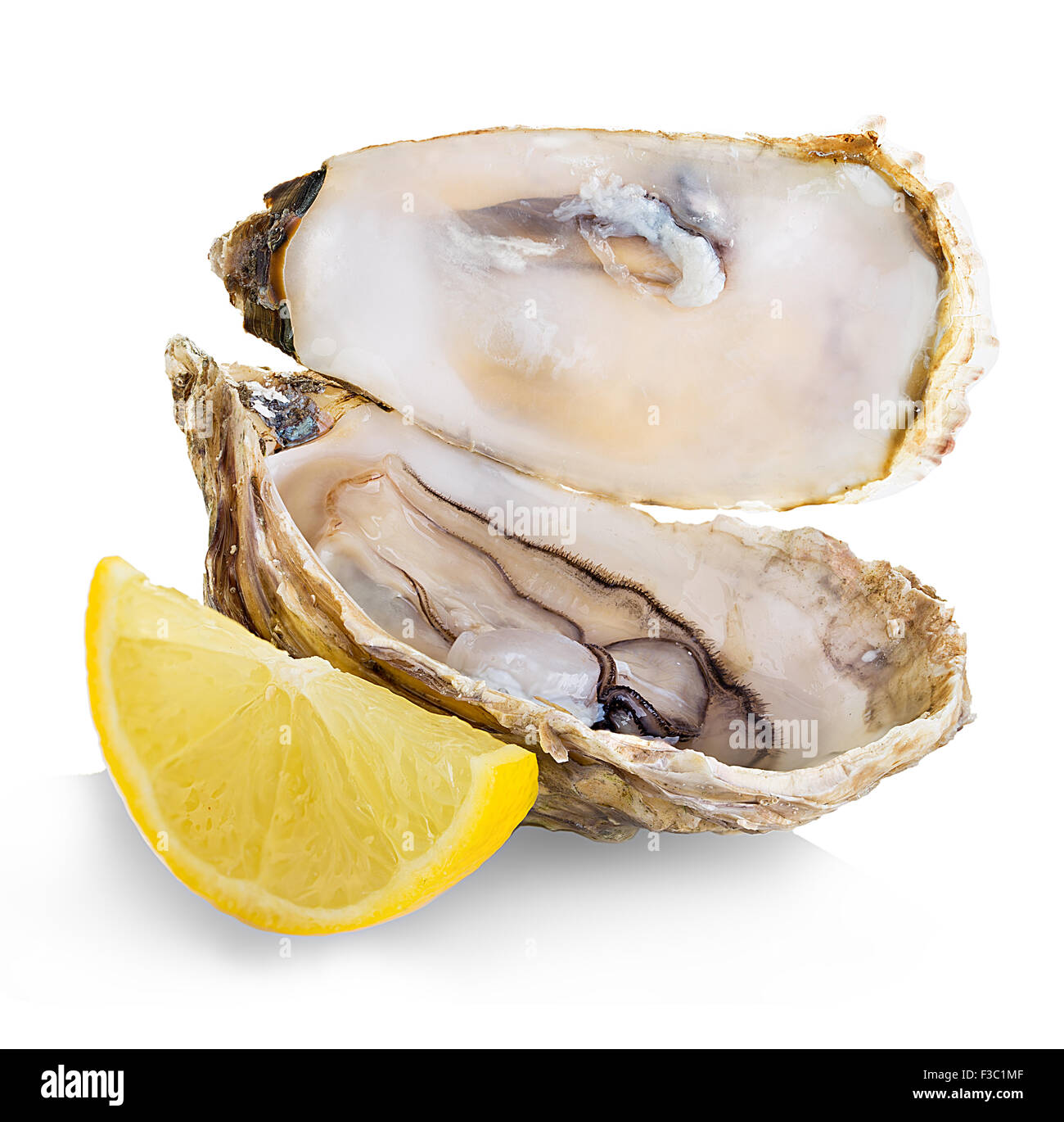 Oyster Shell Closeup High Resolution Stock Photography and Images - Alamy