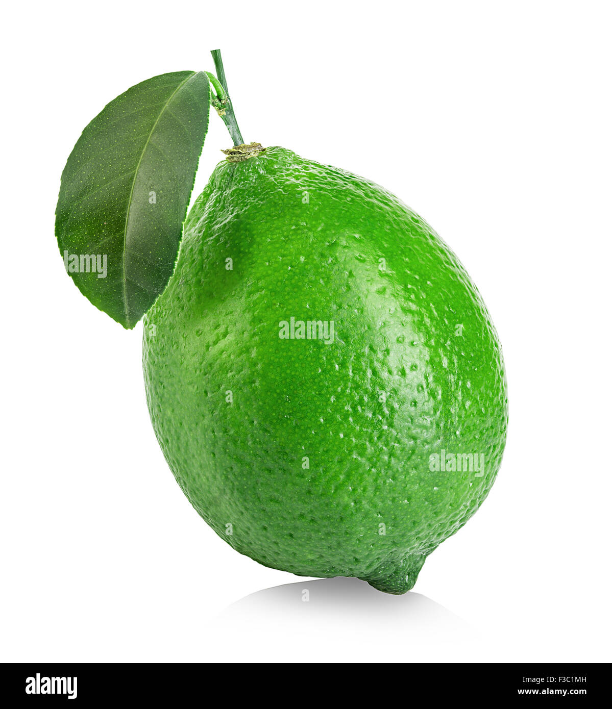 Lime isolated close-up on a white background Stock Photo - Alamy