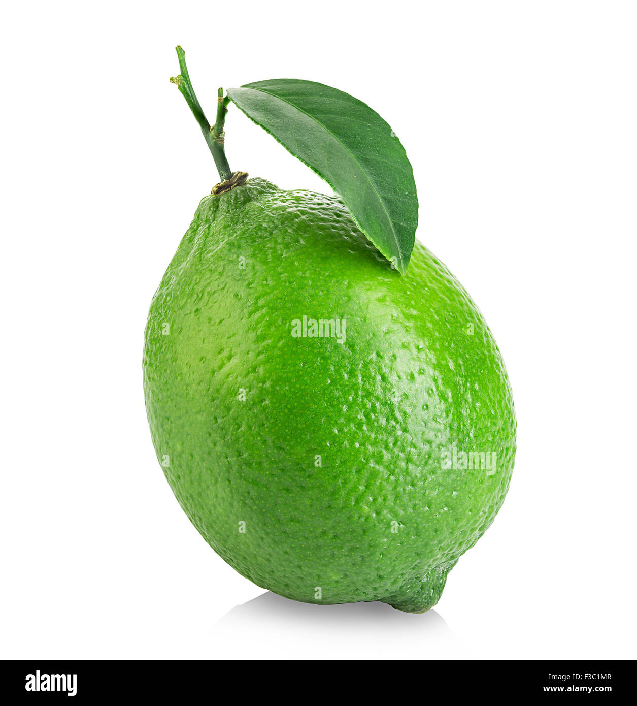 Lime isolated close-up on a white background Stock Photo - Alamy