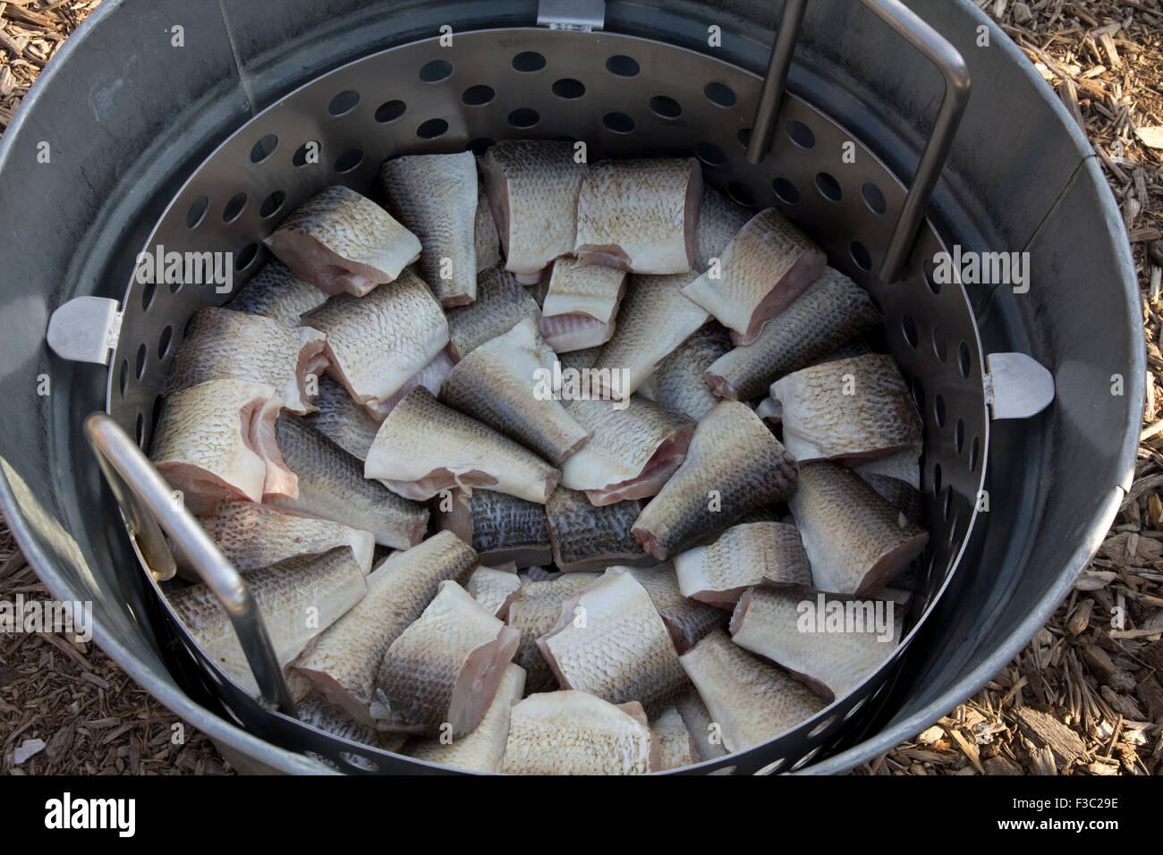 Whitefish catch hi-res stock photography and images - Alamy