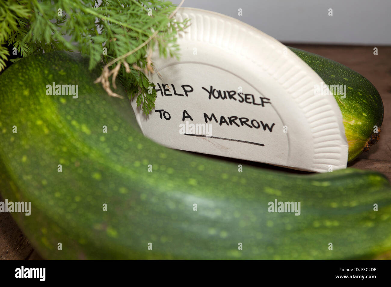 A marrow in fruit and vegetable stall with sign 'Help yourself to a ...