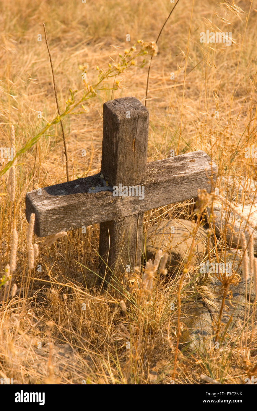 Ranald McDonald Cemetery grave, Ranald MacDonald's Grave State Park ...