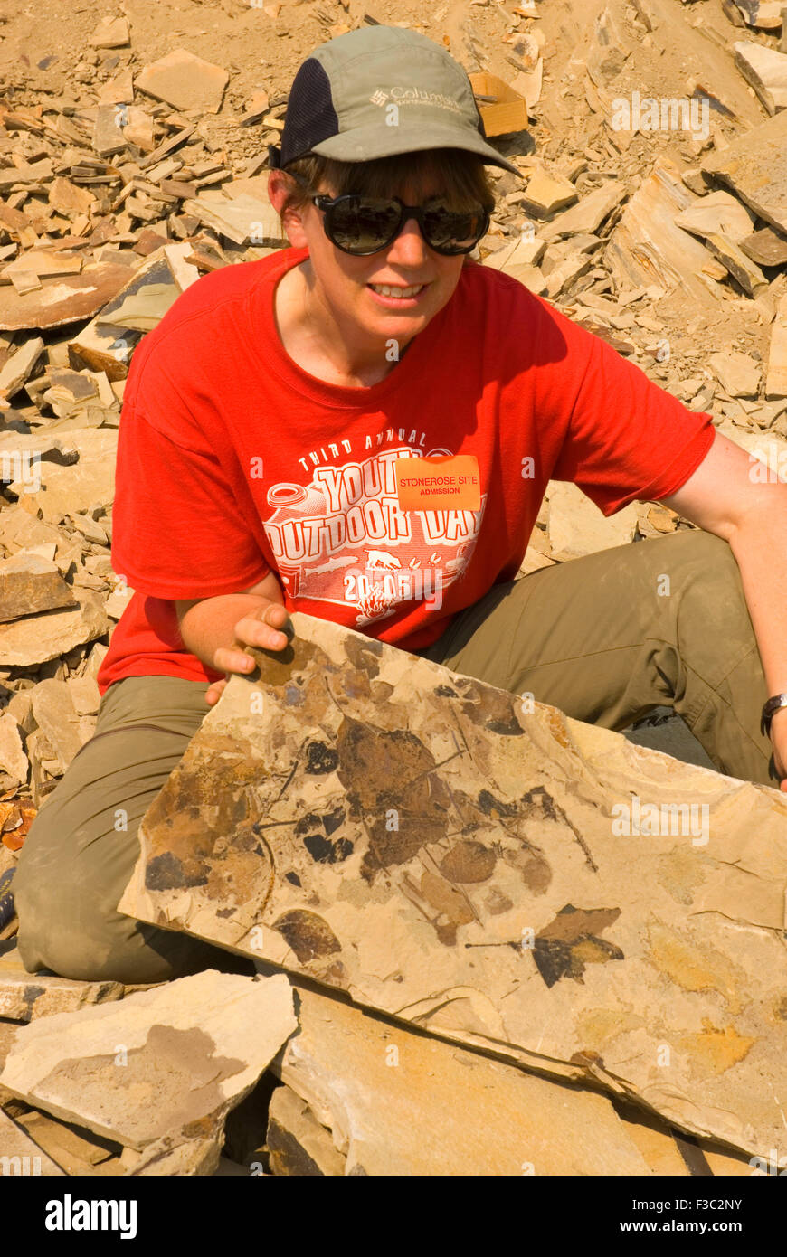 Fossil leaves, Stonerose Interpretive Center and Eocene Fossil Site ...
