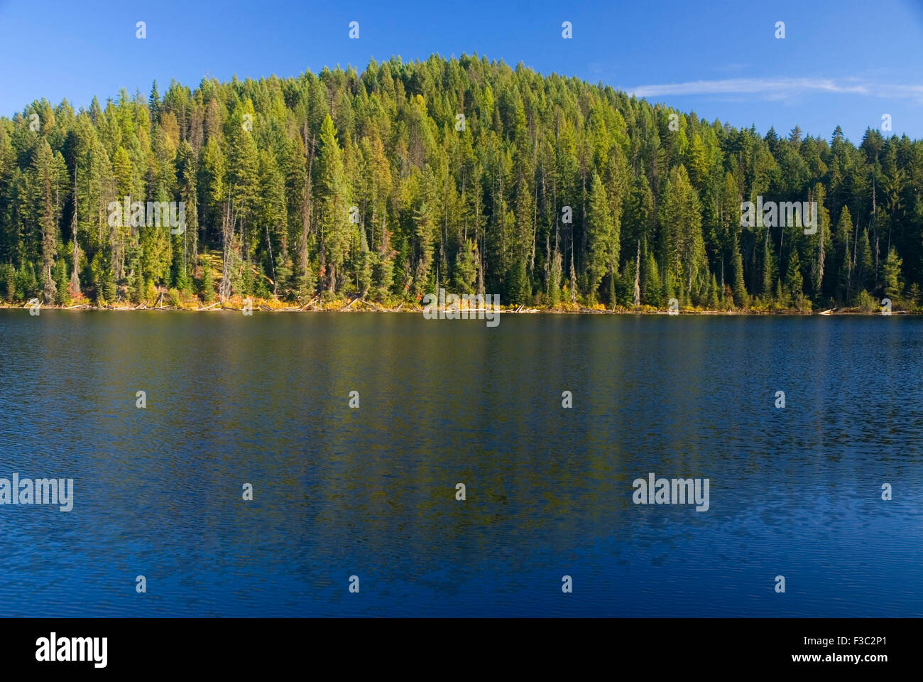 Skookum hi-res stock photography and images - Alamy