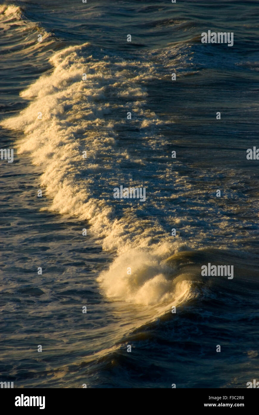 Benson Beach surf from North Head, Cape Disappointment State Park ...
