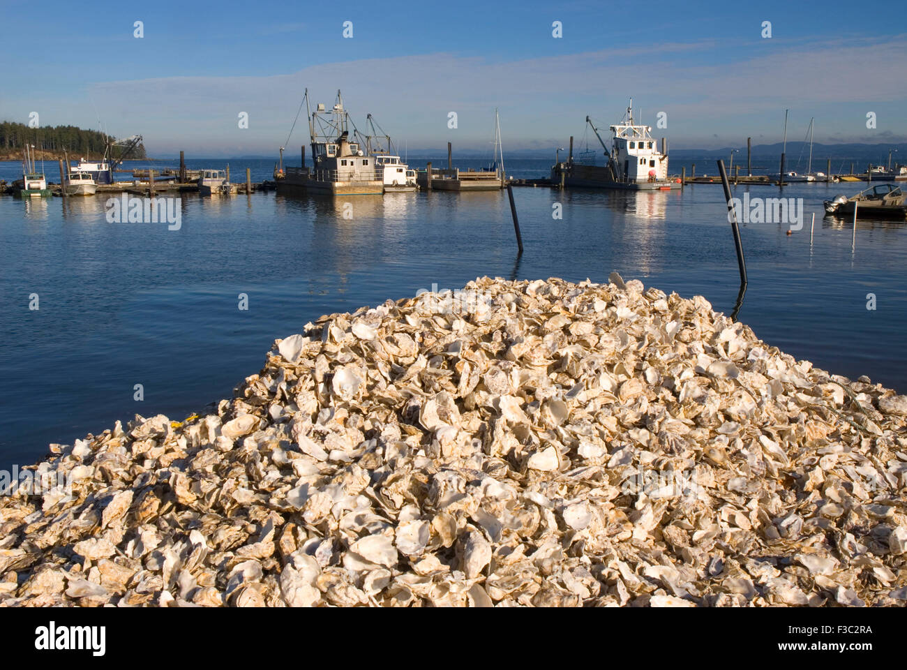 Oystershell mounds, Nahcotta, Washington Stock Photo - Alamy