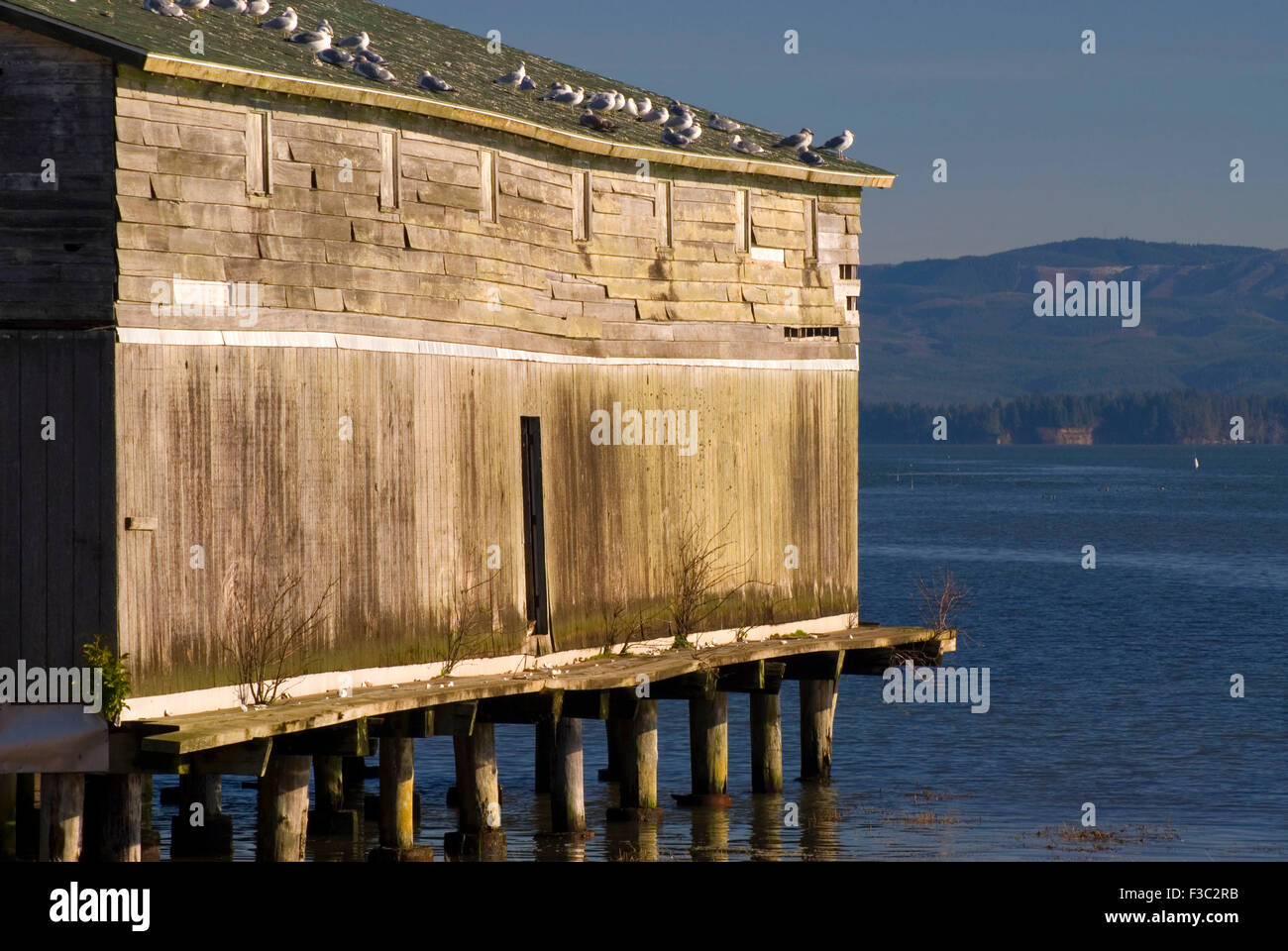 Old fishing building, Nahcotta, Washington Stock Photo - Alamy