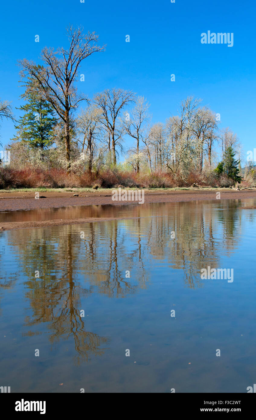 Steamboat Slough, Julia Butler Hansen Refuge for the Columbian White ...