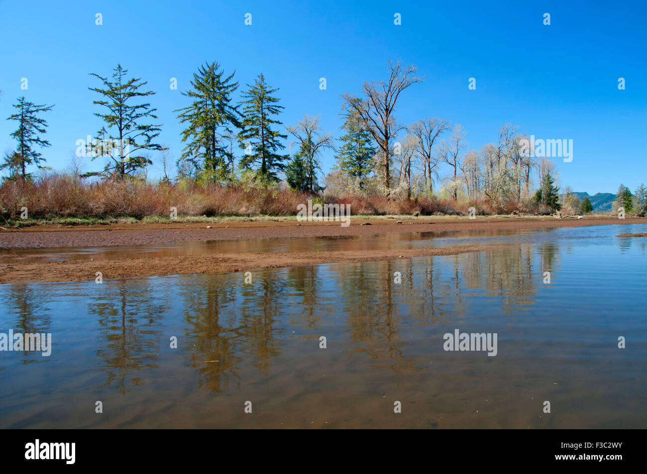 Steamboat Slough, Julia Butler Hansen Refuge for the Columbian White ...