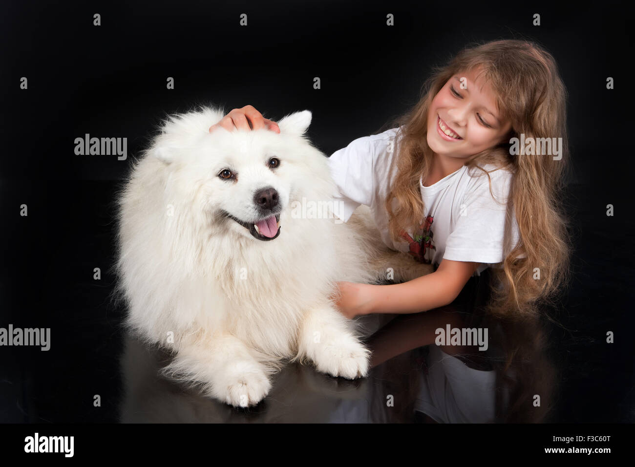 Child teaching her dog hi-res stock photography and images - Alamy