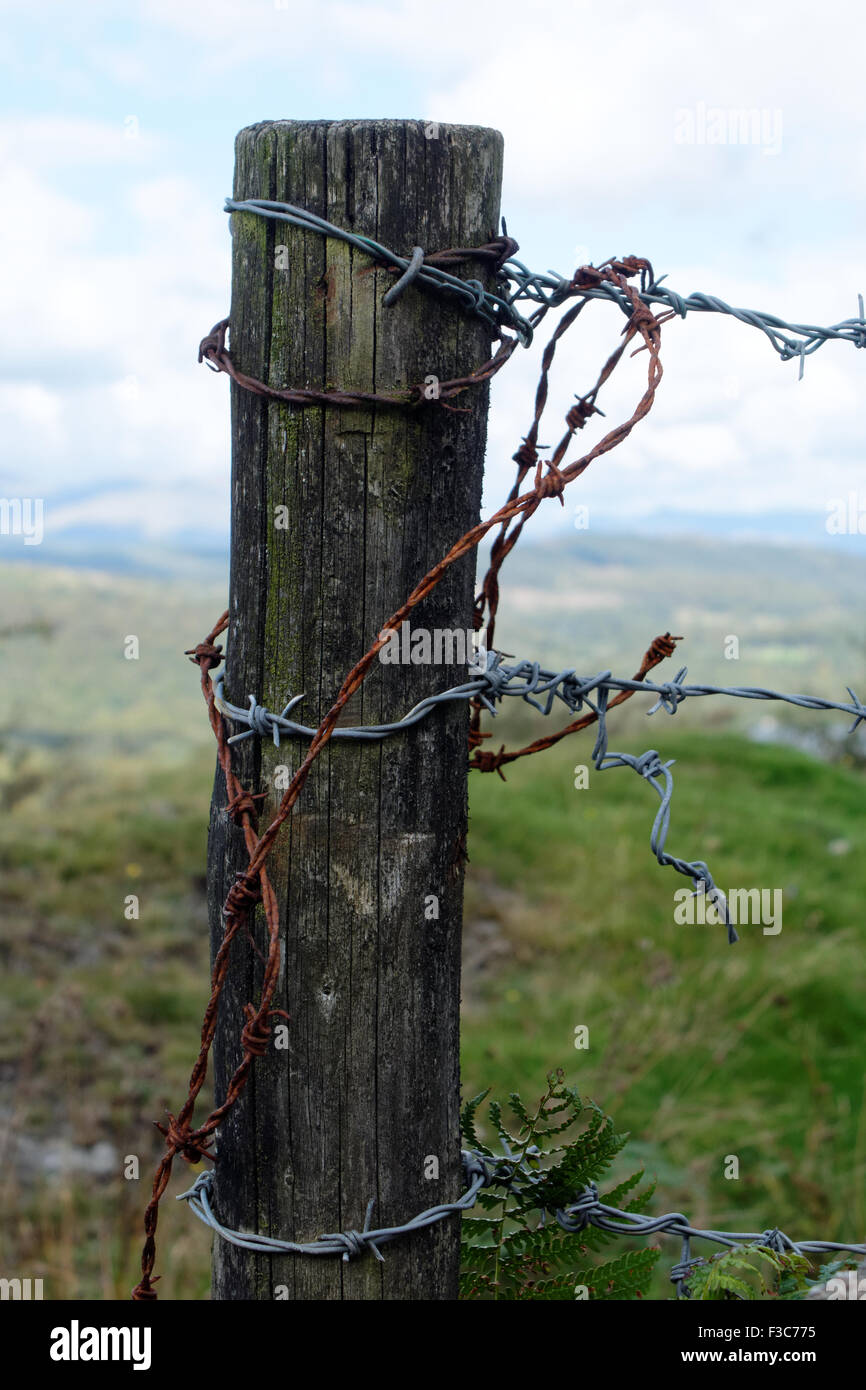 Post and wire hi-res stock photography and images - Alamy