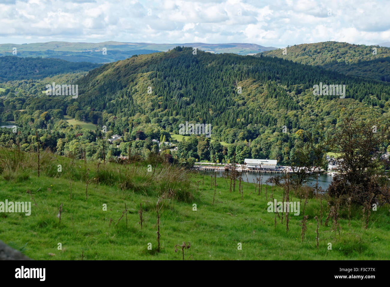 Gummer’s how hi-res stock photography and images - Alamy