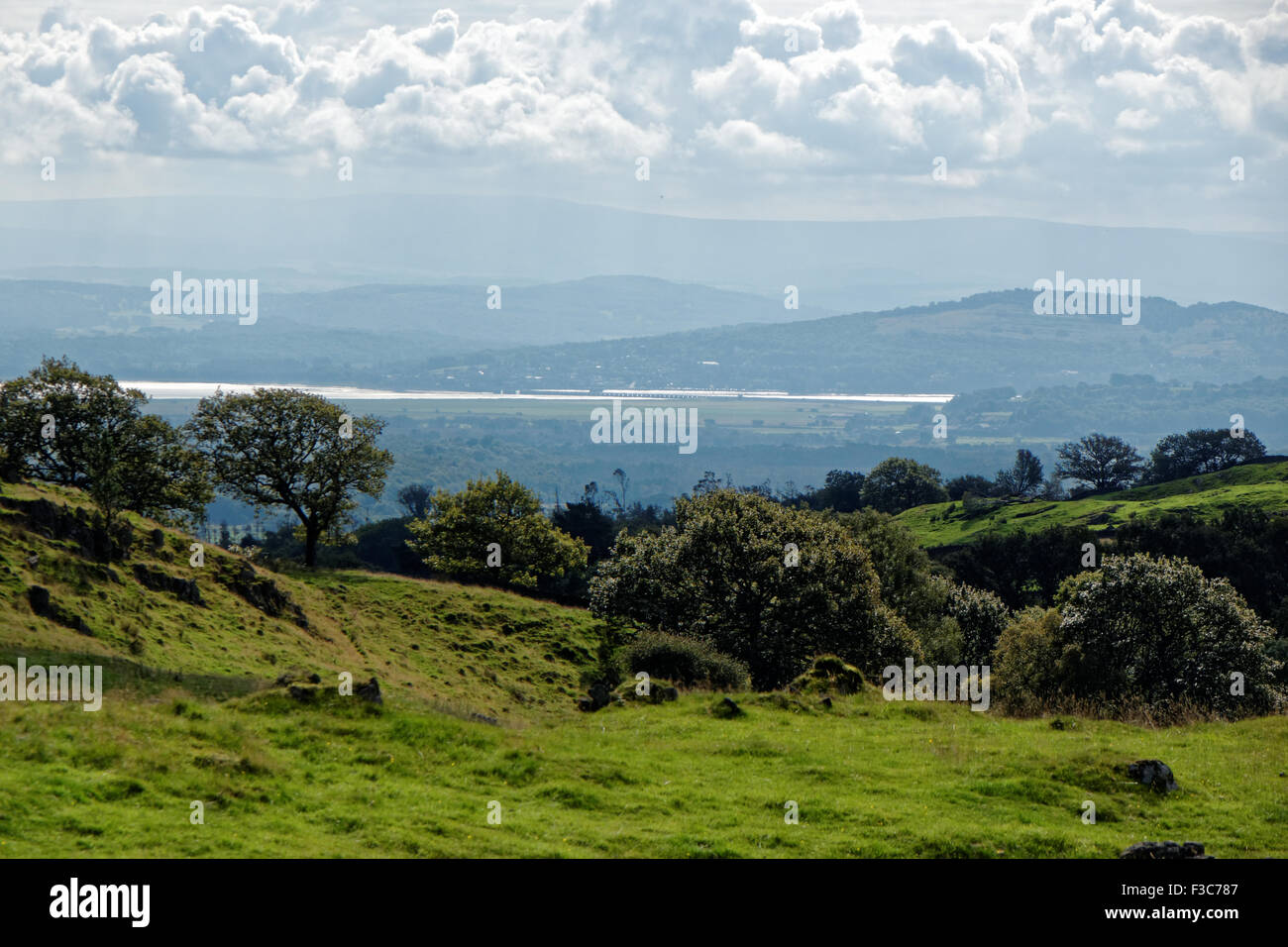 Gummers how view hi-res stock photography and images - Alamy