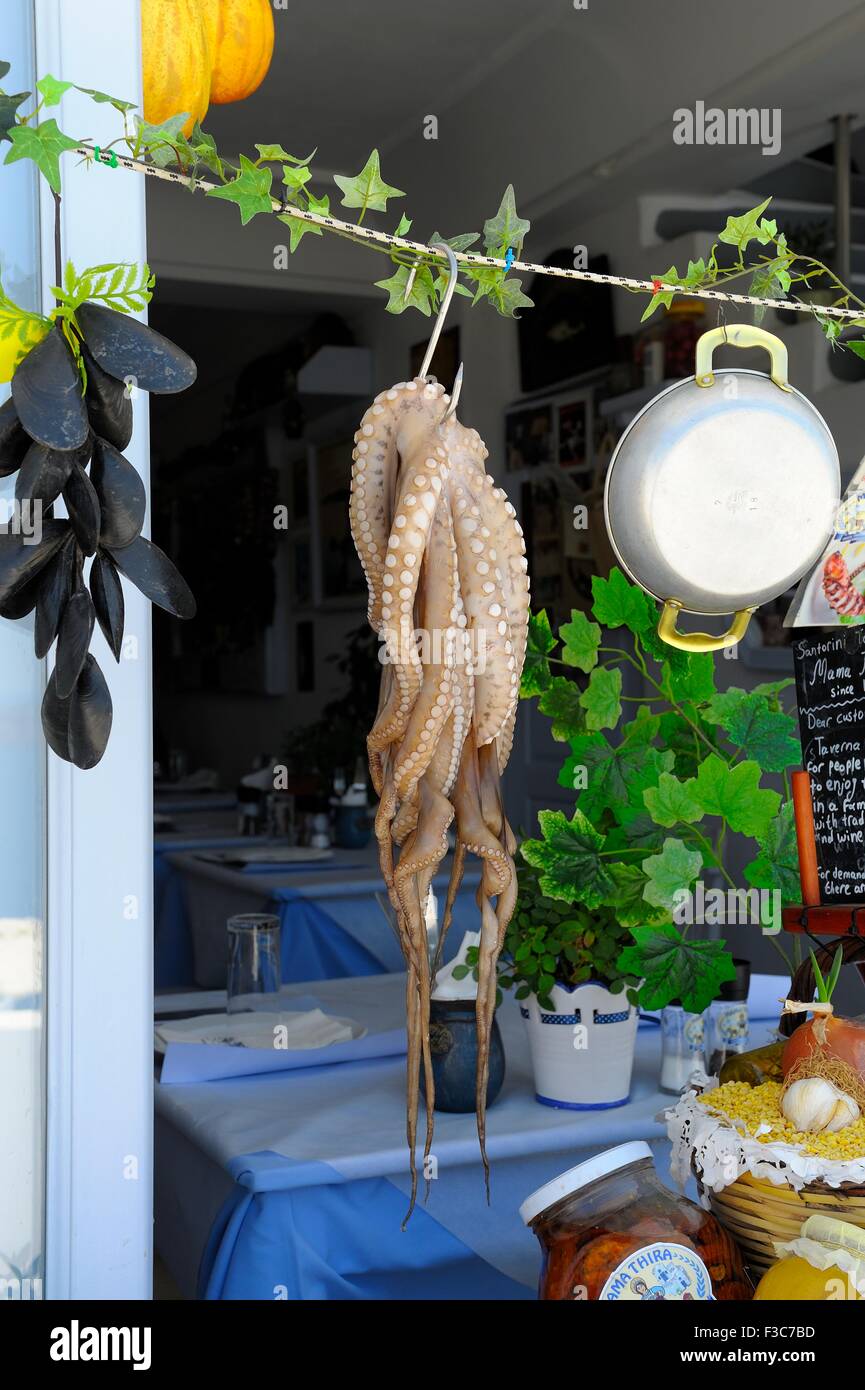 Raw octopus hanging outside a restaurant on the island of Santorini ...
