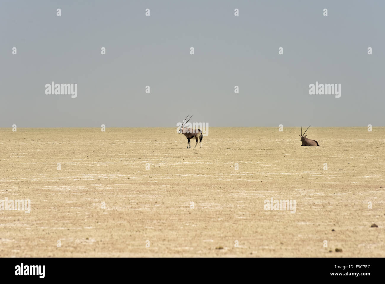 Pan namibia endorheic salt pan hi-res stock photography and images - Alamy