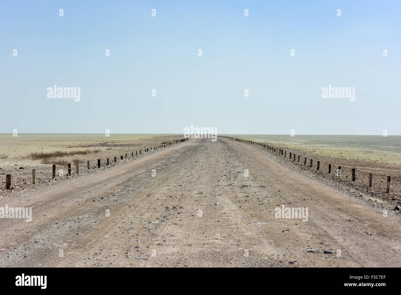 Road along the Etosha salt pan. It is a large endorheic salt pan ...