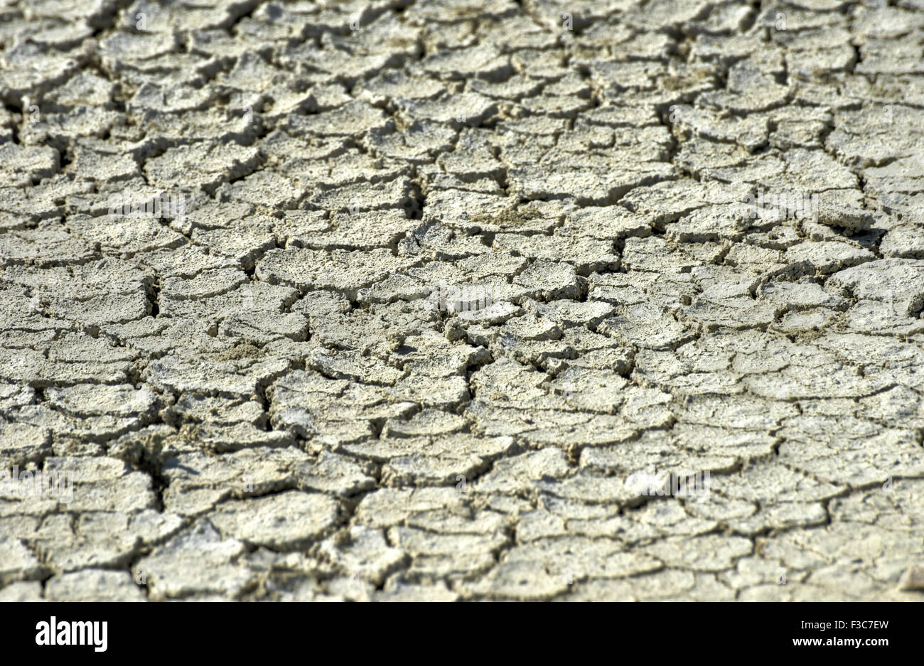 The dry etosha pan is a large endorheic salt pan hi-res stock ...