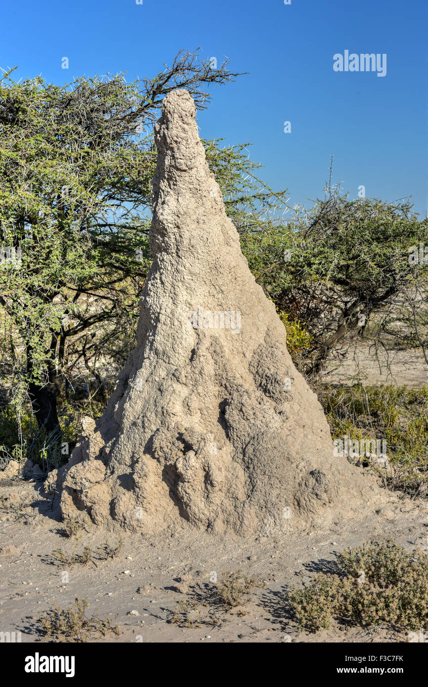 Huge termite mound in Etosha National Park, Namibia, Africa Stock Photo ...