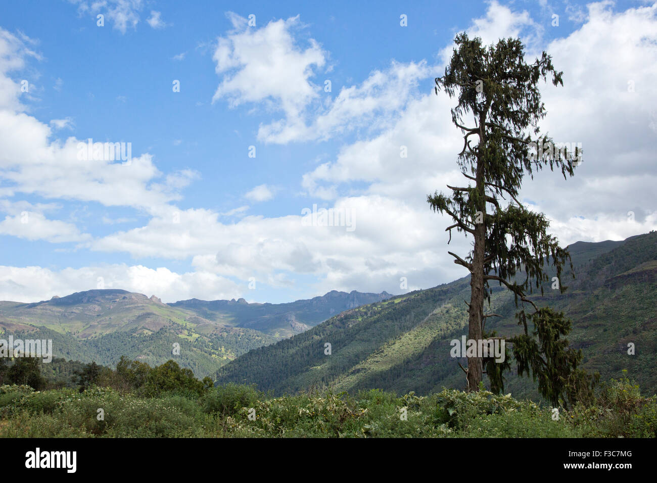 Bale Mountains National Park, Ethiopia, Africa Stock Photo - Alamy