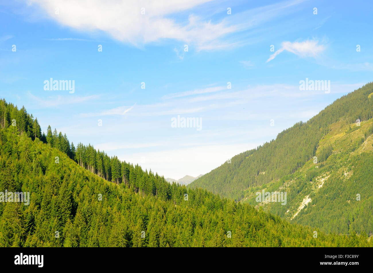 Alpine forest landscape. Photographed in Winnertal, Near Gerlos ...