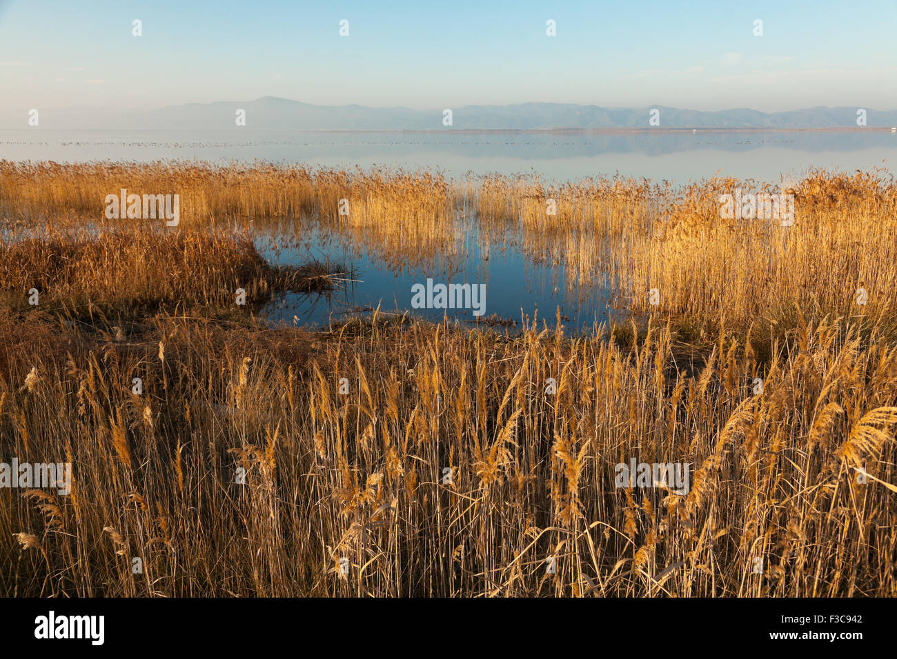 Beautiful landscape at Porto Lagos lagoon in Greece Stock Photo - Alamy