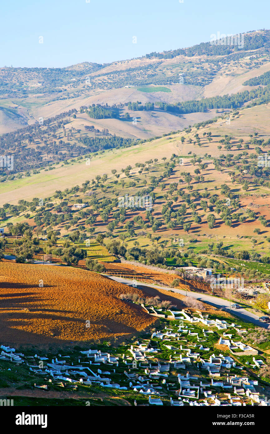 from high in the village morocco africa field and constructions Stock ...