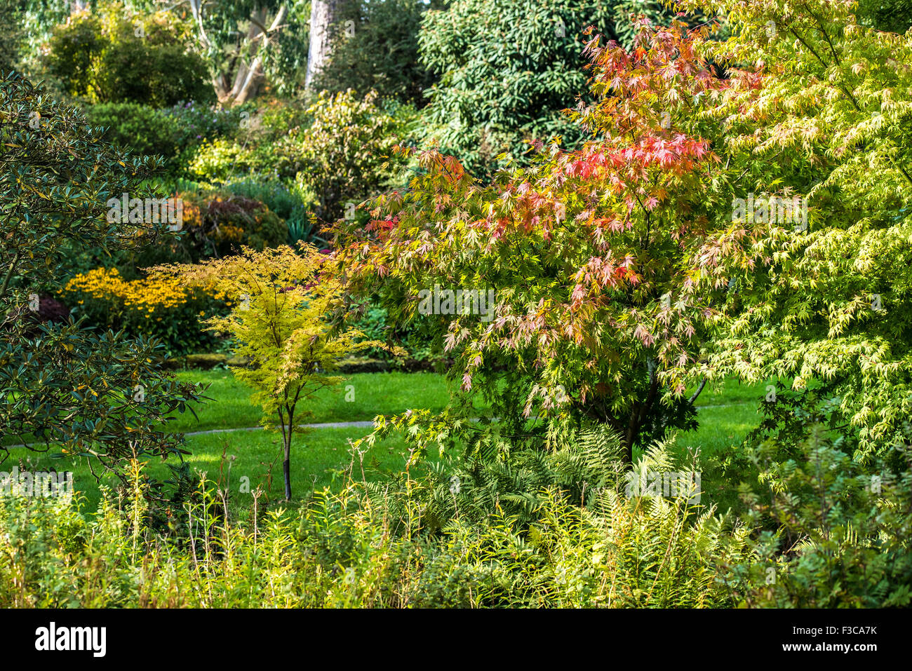 Borde Hill, West Sussex, UK. 4th October, 2015. Autumn foliage colour ...