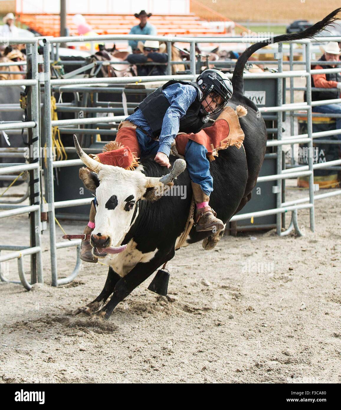 Toronto, Canada. 4th Oct, 2015. A cowboy competes during the Rodeo ...