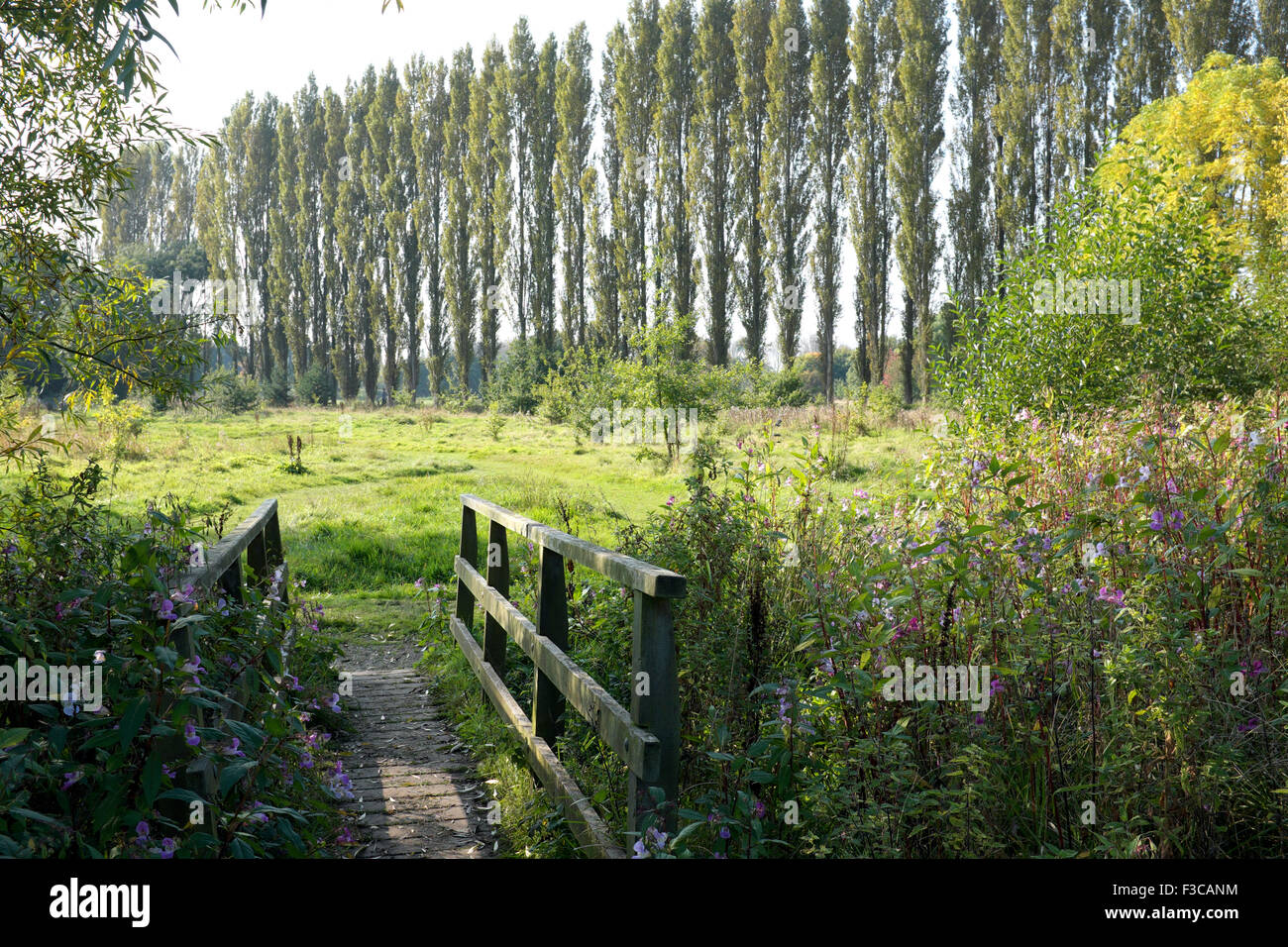 a small footbridge in fletcher moss meadows in didsbury, south ...