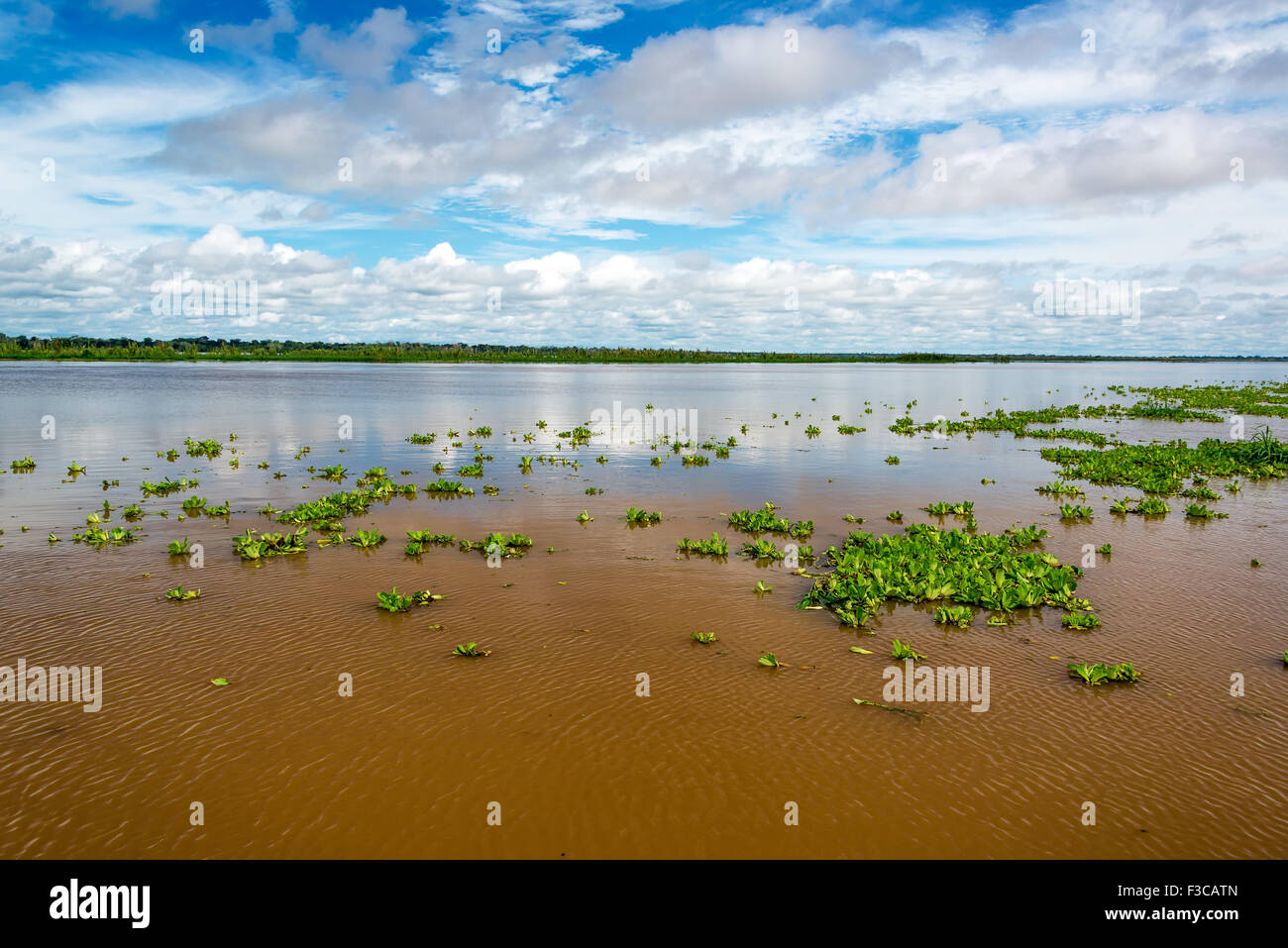 Brown muddy water hi-res stock photography and images - Alamy