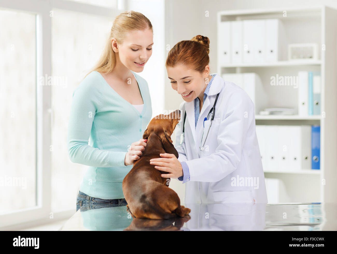happy woman with dog and doctor at vet clinic Stock Photo - Alamy