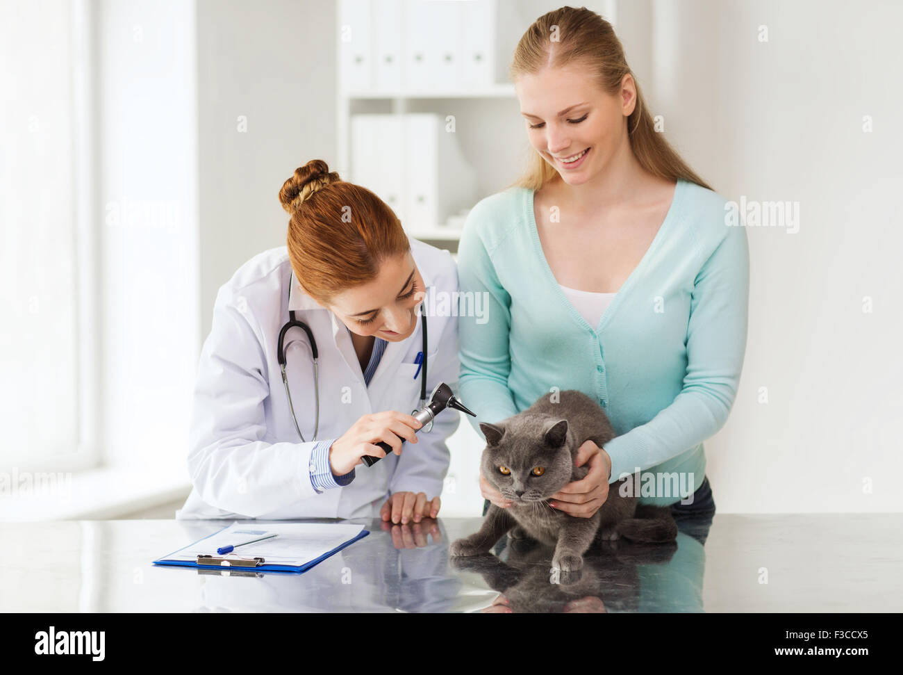 happy woman with cat and doctor at vet clinic Stock Photo - Alamy