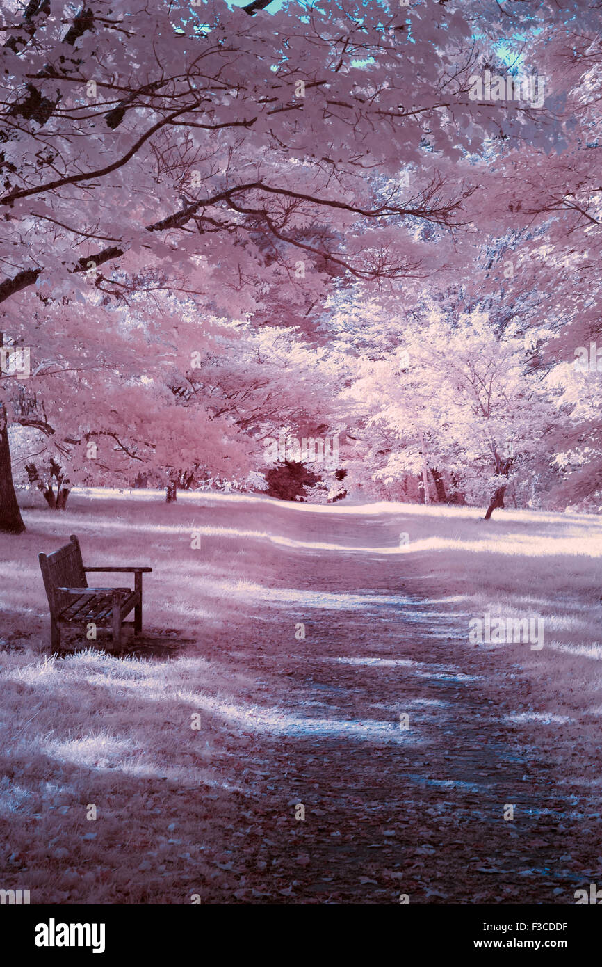 Ir False Colour High Resolution Stock Photography and Images - Alamy