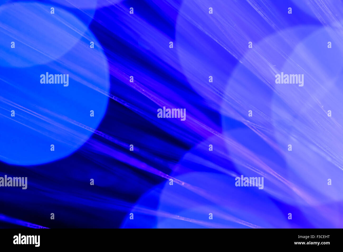 Translucent fibres hi-res stock photography and images - Alamy