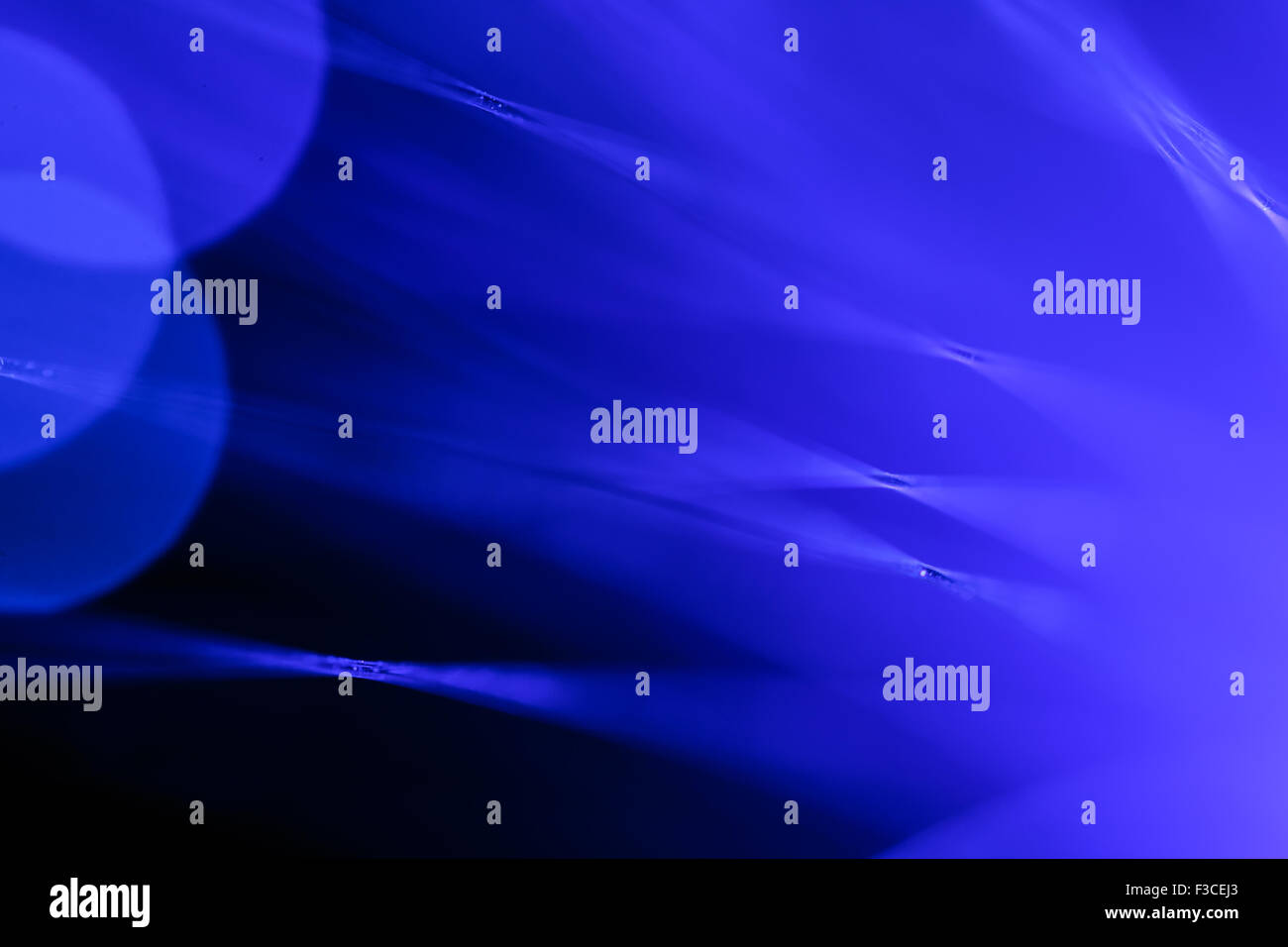 Translucent fibres hi-res stock photography and images - Alamy