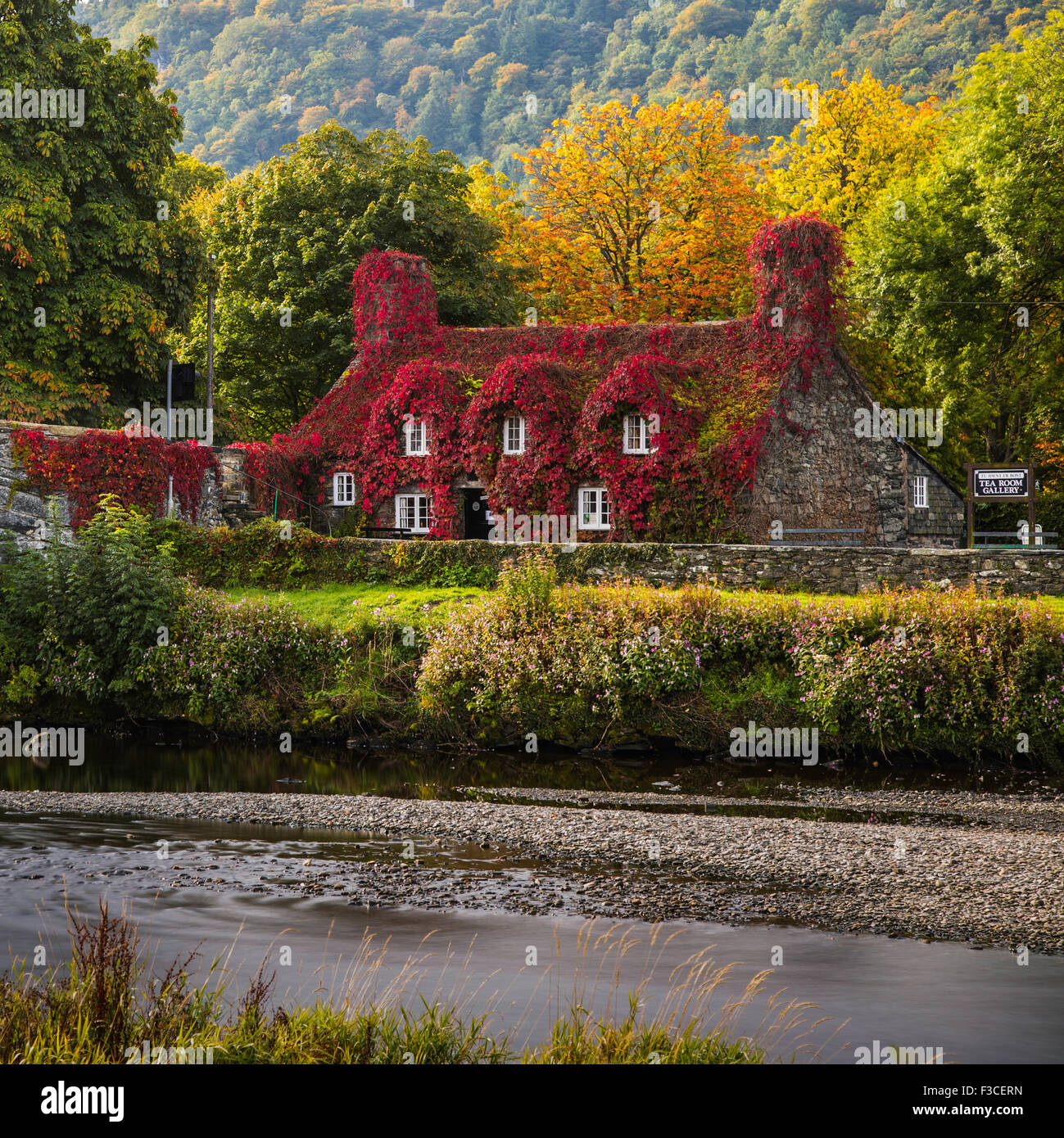 Tu Hwnt I'r Bont and Afon Conwy Stock Photo - Alamy