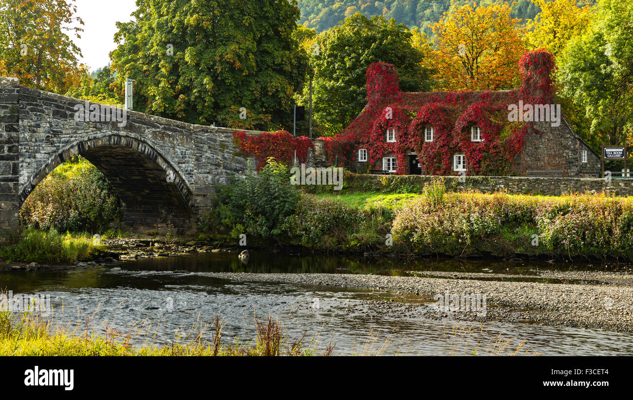 Tu Hwnt I'r Bont and Stone Road Bridge Across Afon Conwy Stock Photo ...