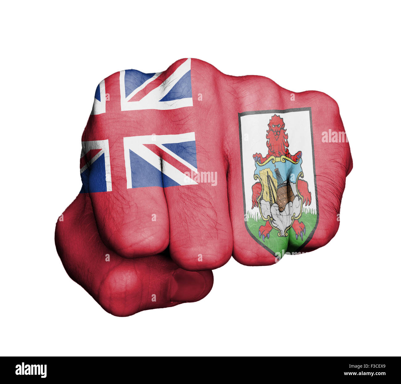 Very hairy knuckles from the fist of a man punching, flag of Bermuda ...