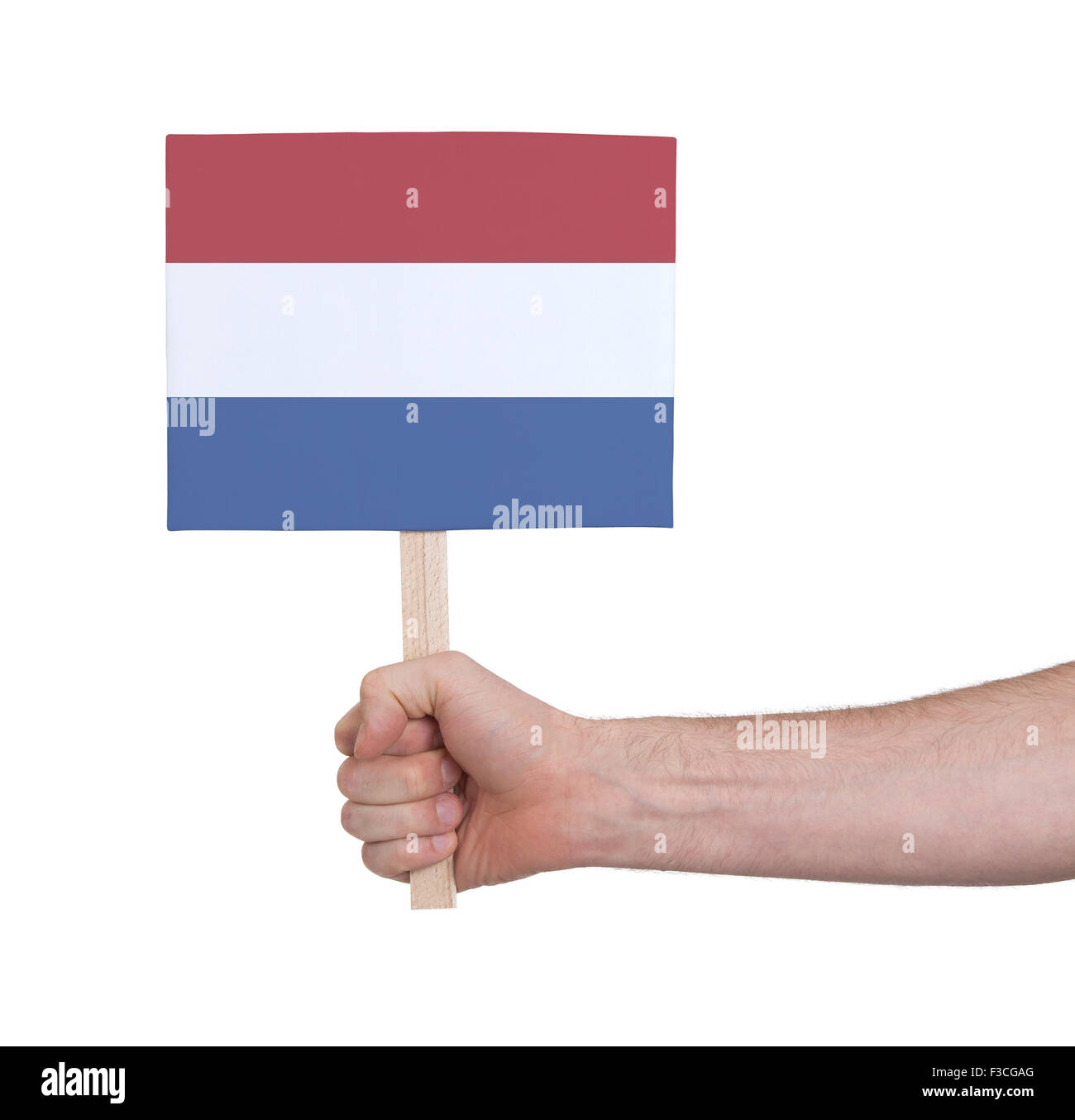 Hand holding small card, isolated on white - Flag of the Netherlands ...