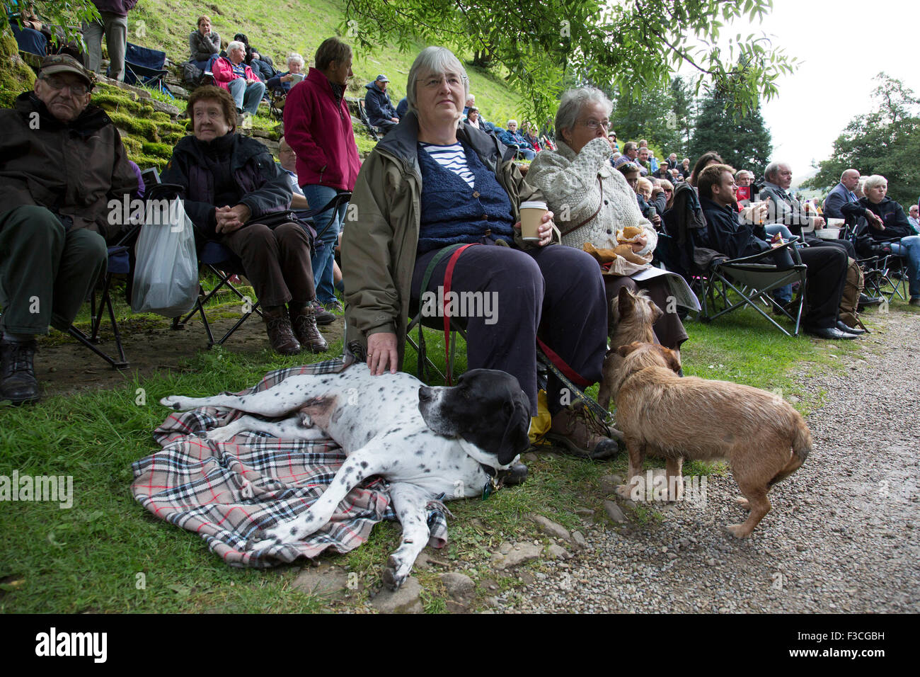 The dogs band hi-res stock photography and images - Alamy